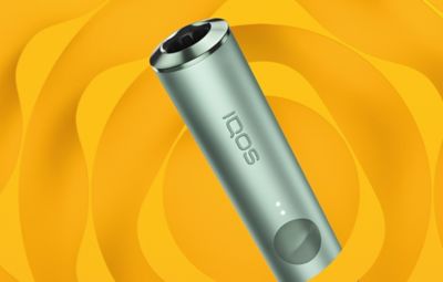 Discover TEREA tobacco Sticks for IQOS ILUMA | IQOS Egypt
